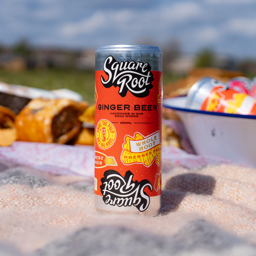 Ginger Beer Can 24 x 250ml – mahalo